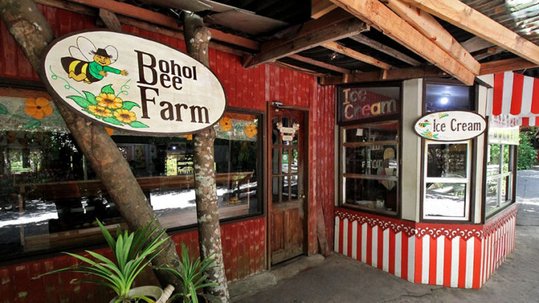 The 7 Best Places to Shop in Bohol