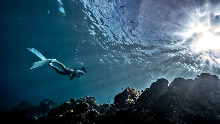 freediving-bohol - Around Bohol